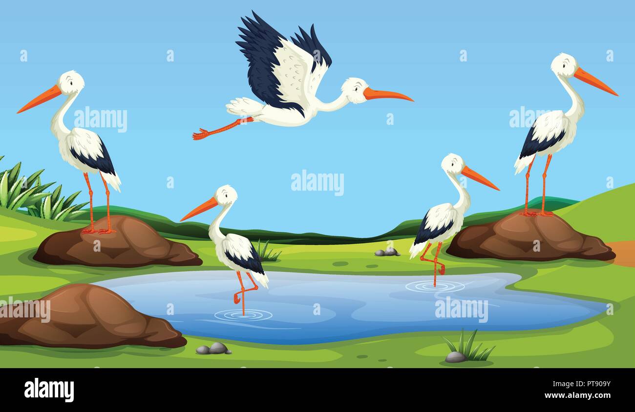 Migration drawing Stock Vector Images - Alamy