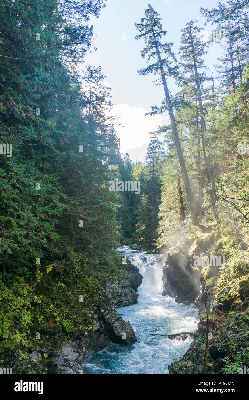 Little Qualicum Falls Stock Photos & Little Qualicum Falls Stock Images ...