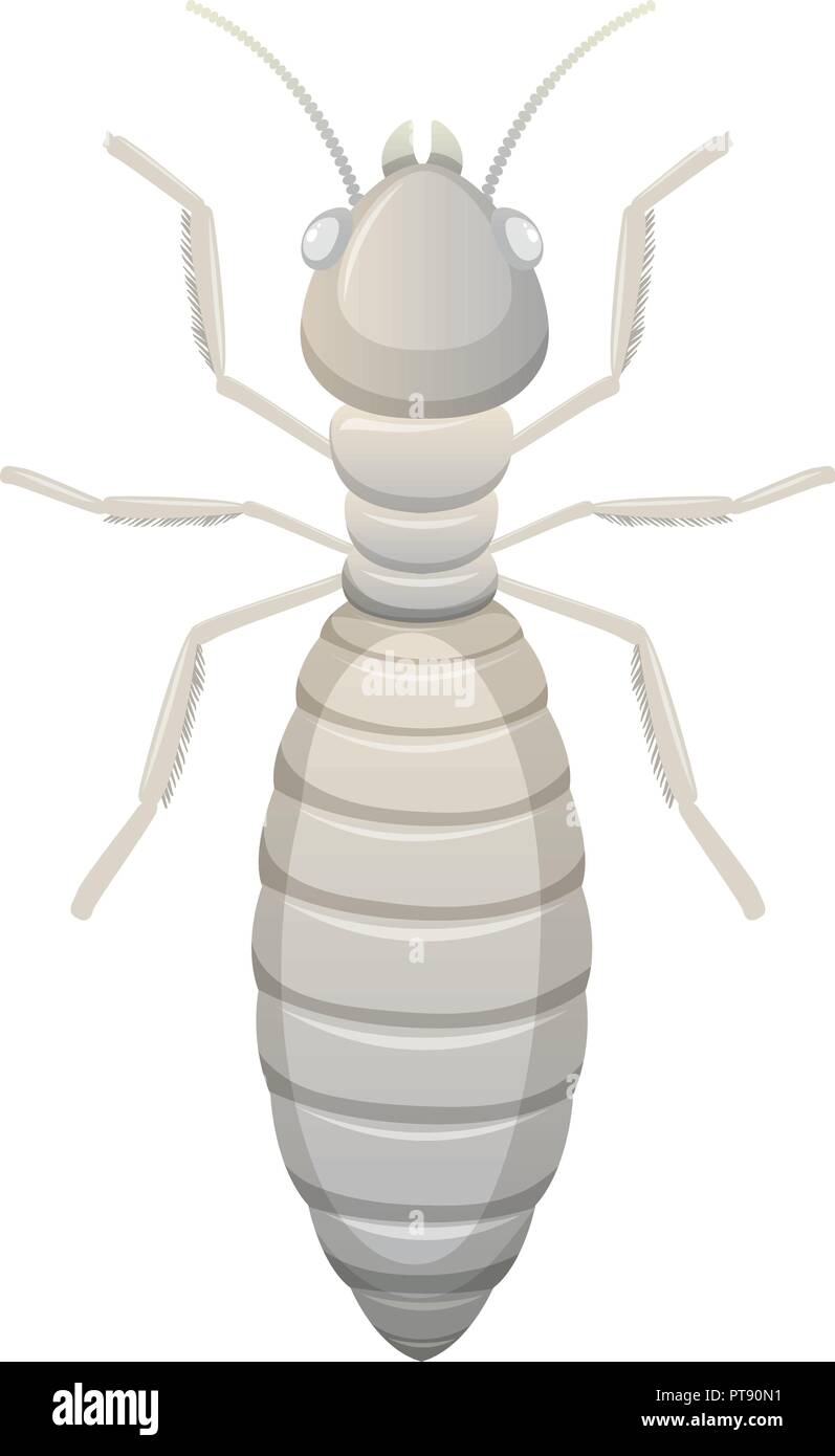 Termite Stock Vector Images - Alamy