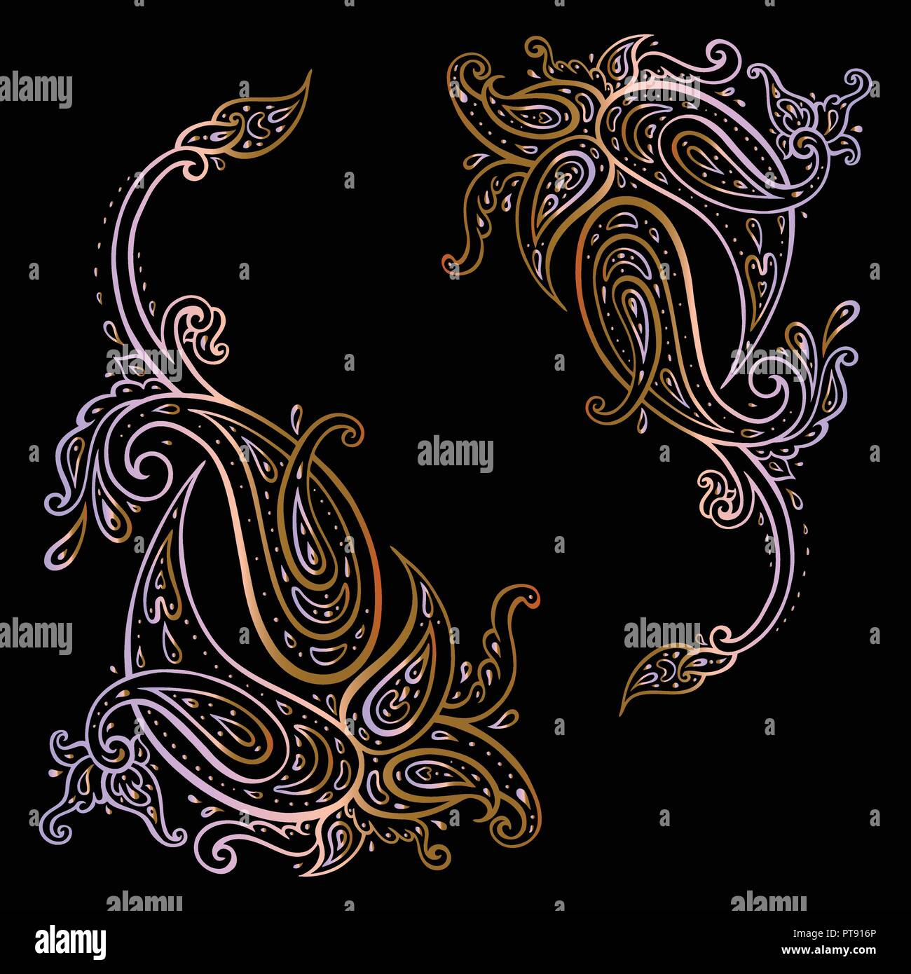 Exotic Paisley. Ethnic ornament. Hand Drawn Boho Vector illustration ...