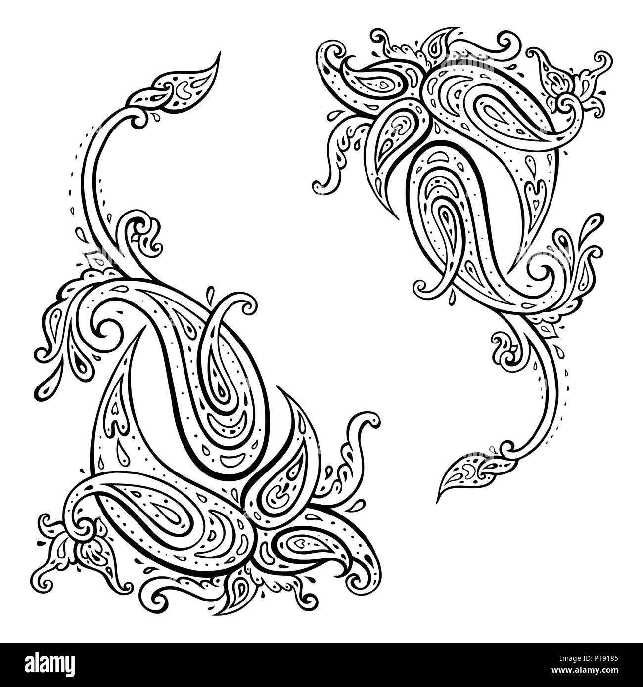 Exotic Paisley. Ethnic ornament. Hand Drawn Boho Vector illustration ...