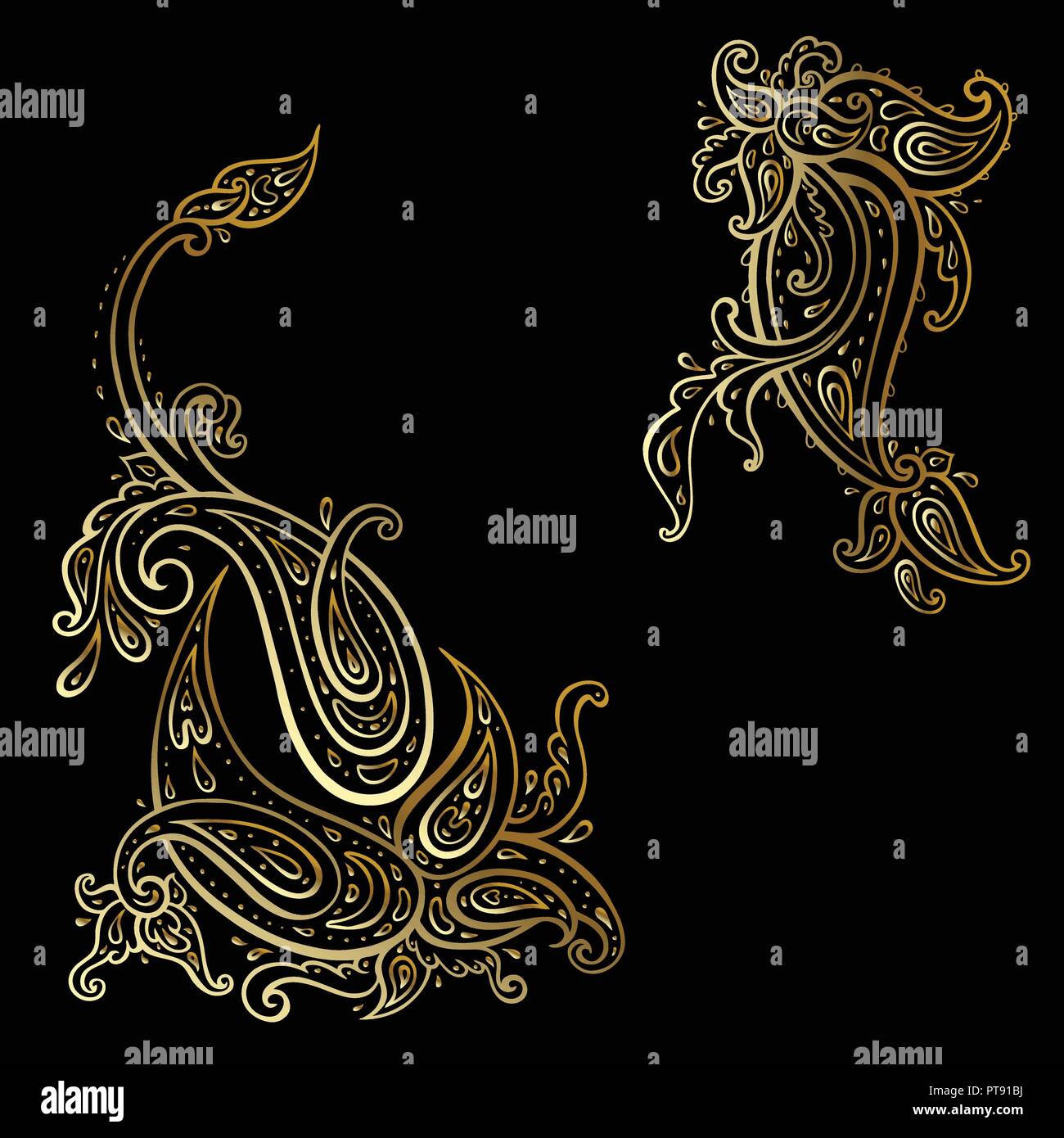 Exotic Paisley. Ethnic ornament, Hand Drawn Boho Vector illustration ...