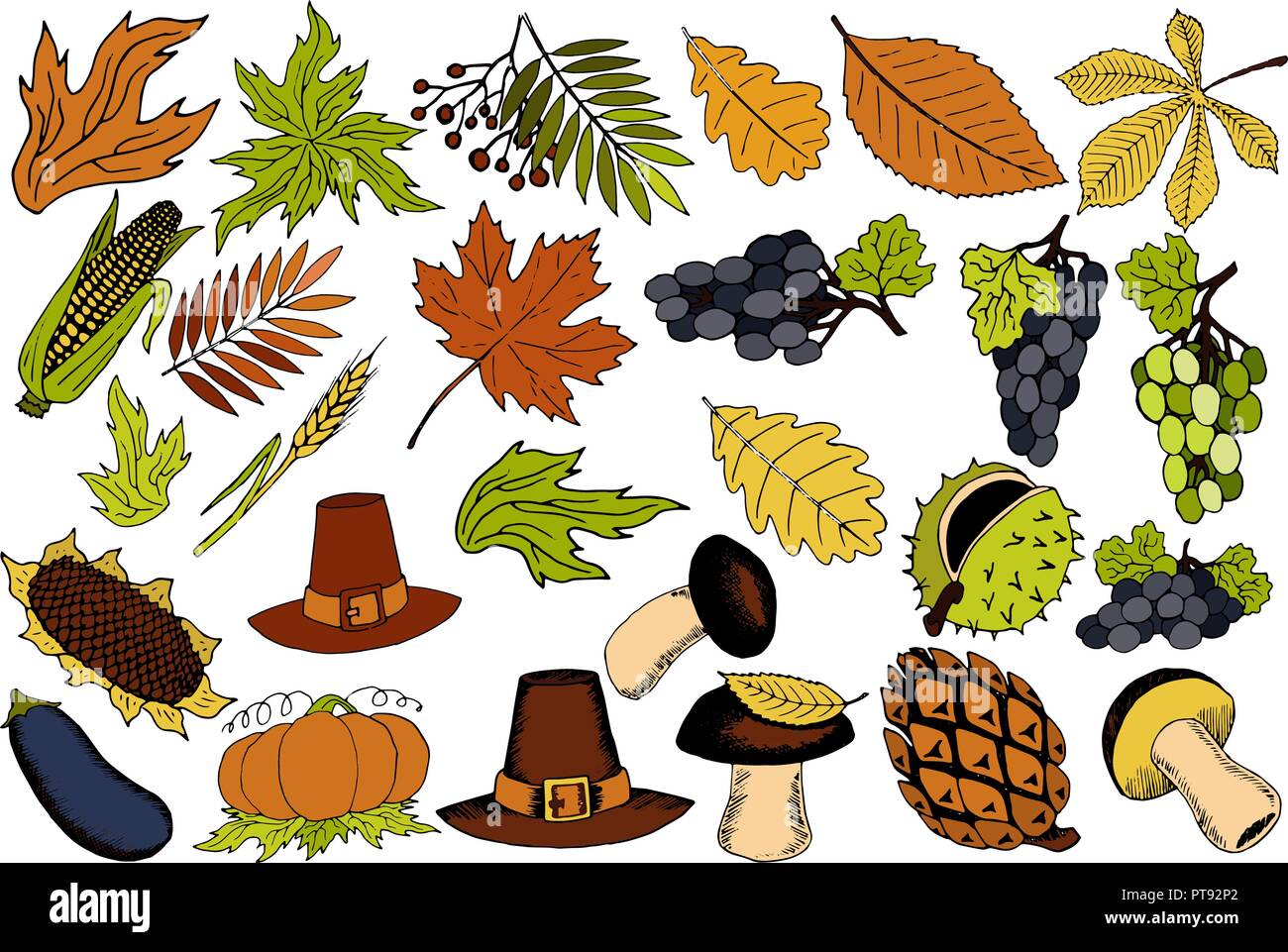 autumn items for Thanksgiving in the vector Stock Vector Image & Art ...