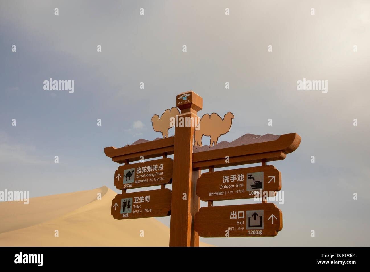 Taklamakan desert camels hi-res stock photography and images - Alamy