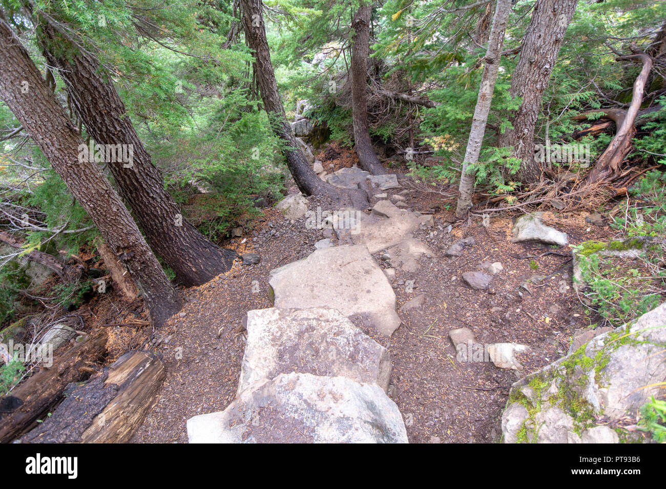 steps made out of rocks Stock Photo - Alamy
