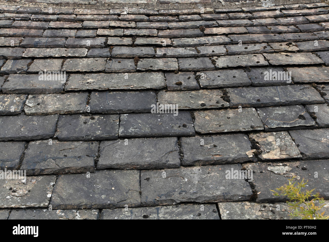 Slate pitched roof hi-res stock photography and images - Alamy