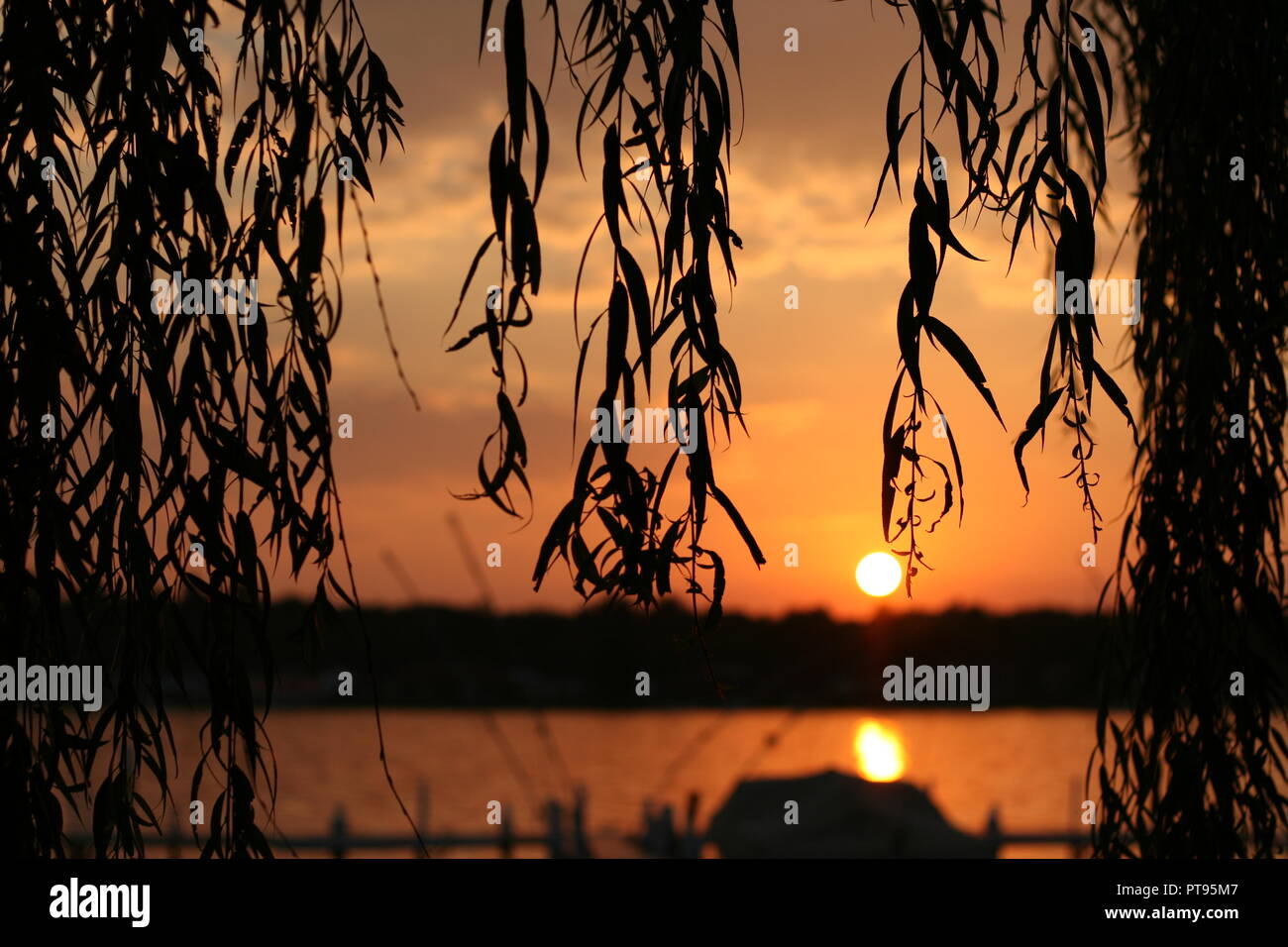 lake sunset through leaves Stock Photo - Alamy