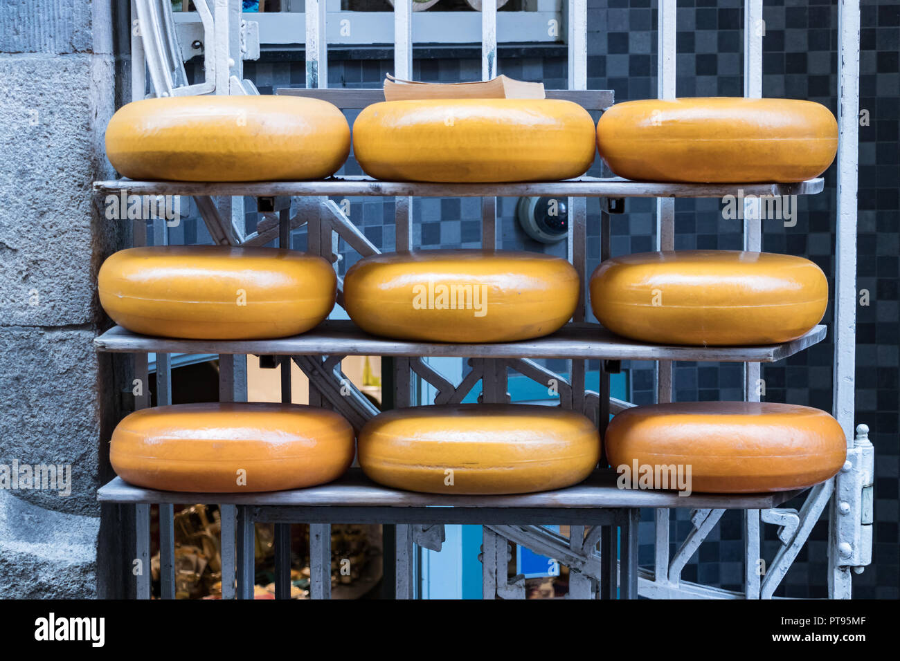 A group of nine big round gouda cheeses placed outside a cheese factory ...