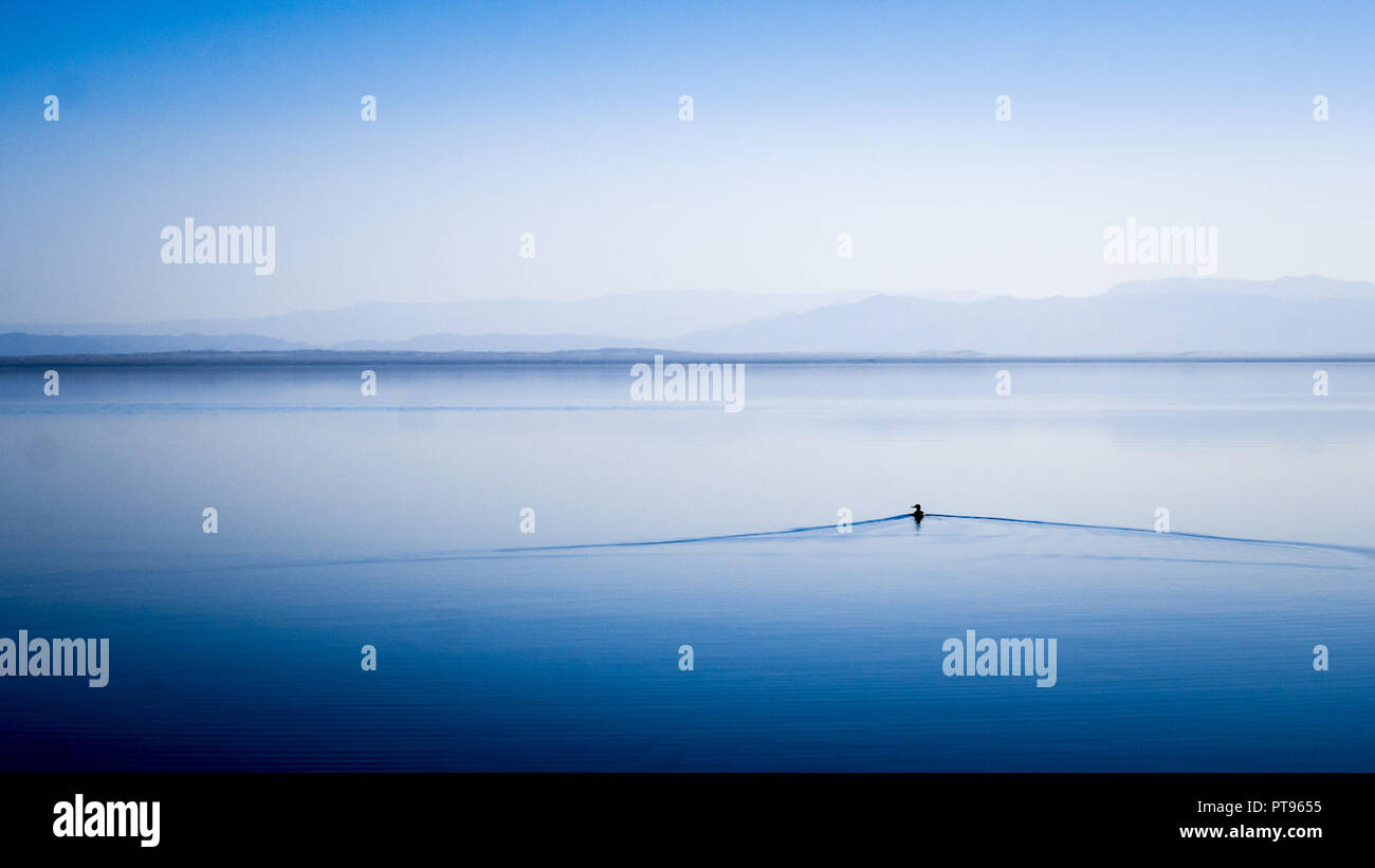 Ripple effect hi-res stock photography and images - Alamy