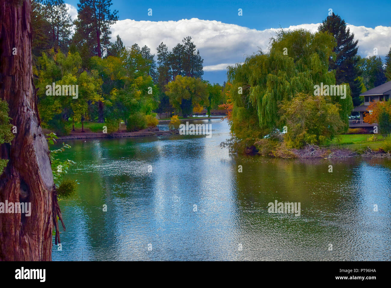 Fall Colors at Drake Park in Bend, Oregon Stock Photo - Alamy