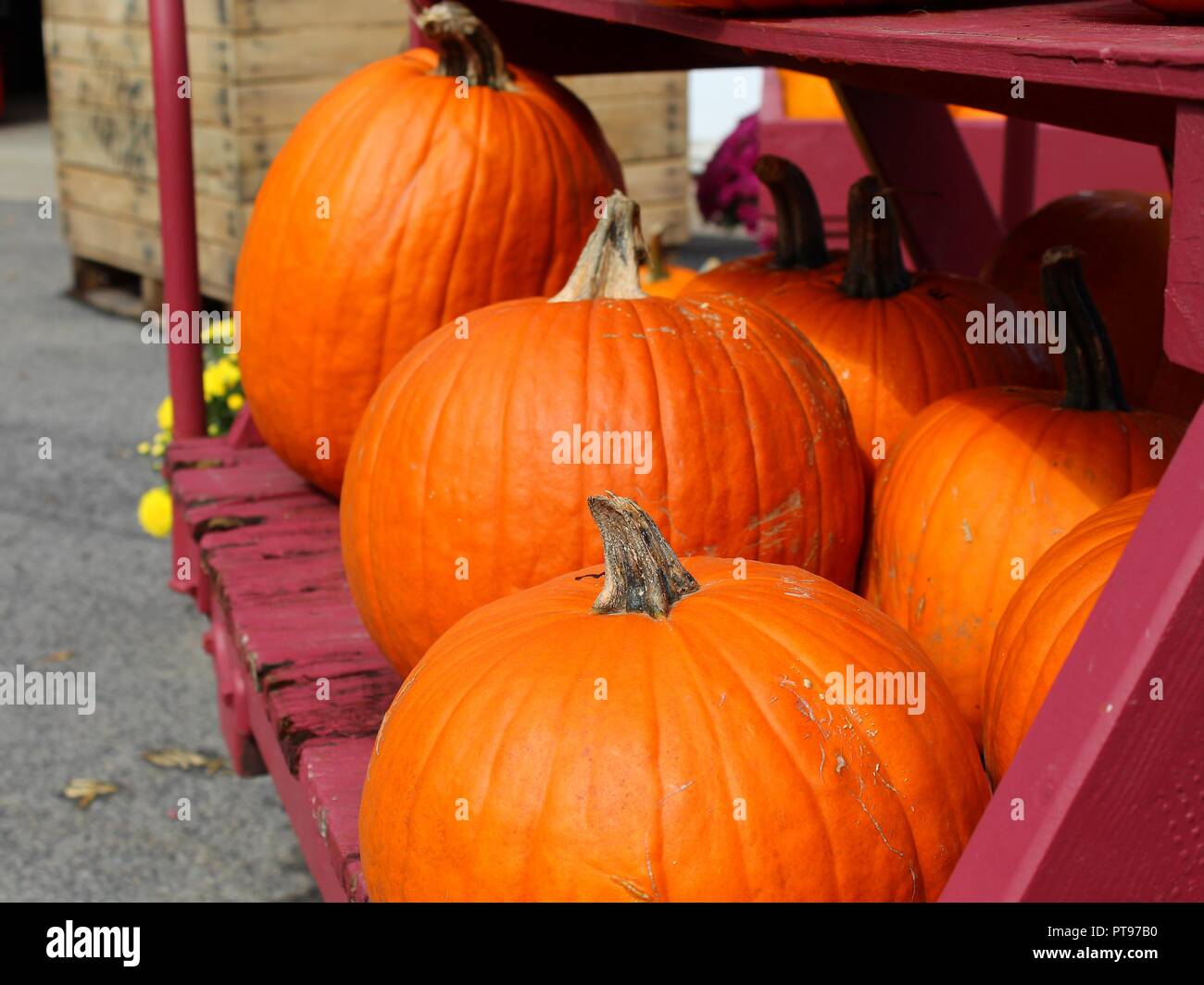 Crop base hi-res stock photography and images - Alamy