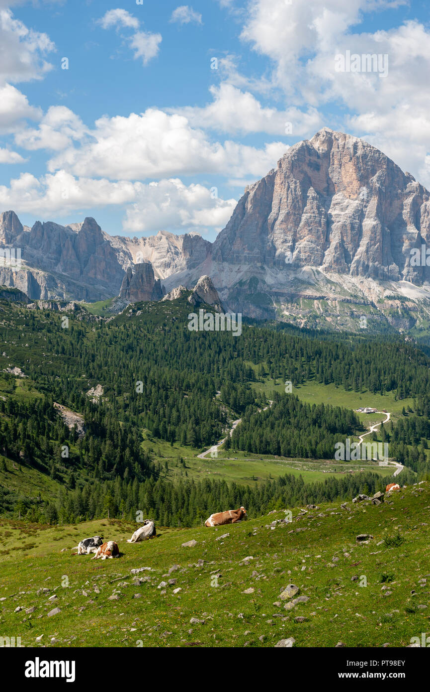 Mountain Scenery of the Italian Dolomites on a summers Afternoon Stock ...