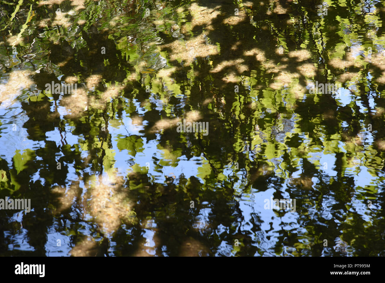 Refections on the water hi-res stock photography and images - Alamy