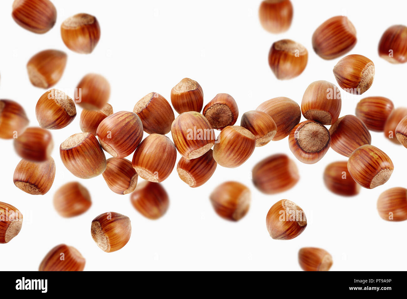 Scattered group of hazelnuts on white background. Fresh hazelnuts in ...
