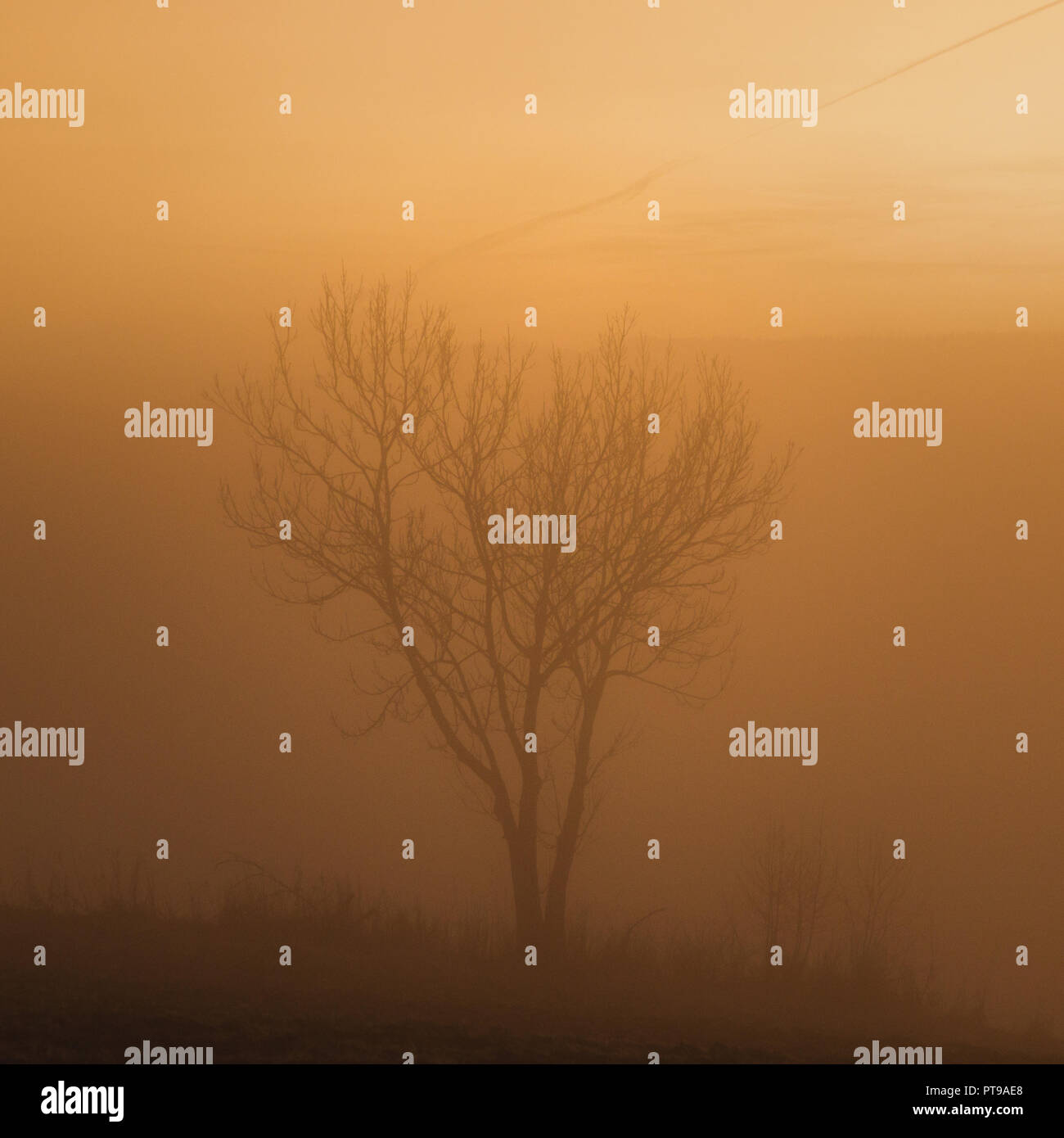 Fog and evening light hi-res stock photography and images - Alamy