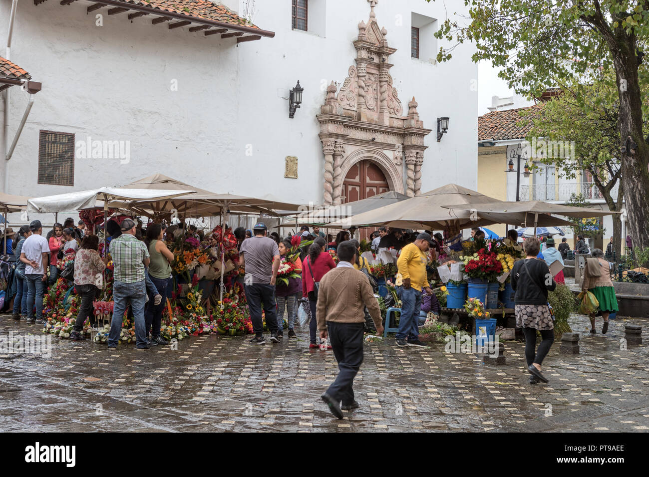 Flower market Cuenca Ecuador Stock Photo - Alamy