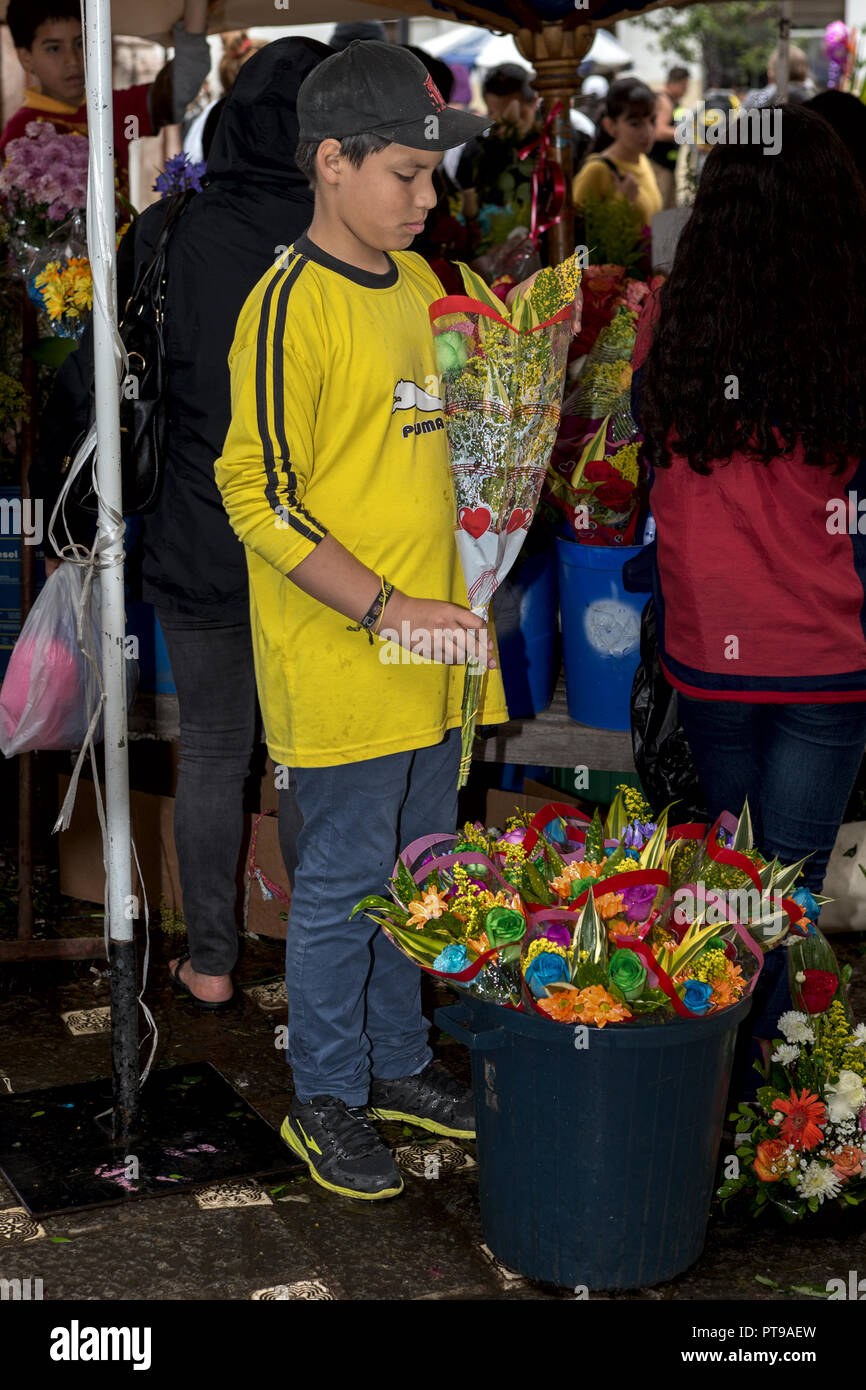 Cuenca Ecuador Flower Stock Photos & Cuenca Ecuador Flower Stock Images ...
