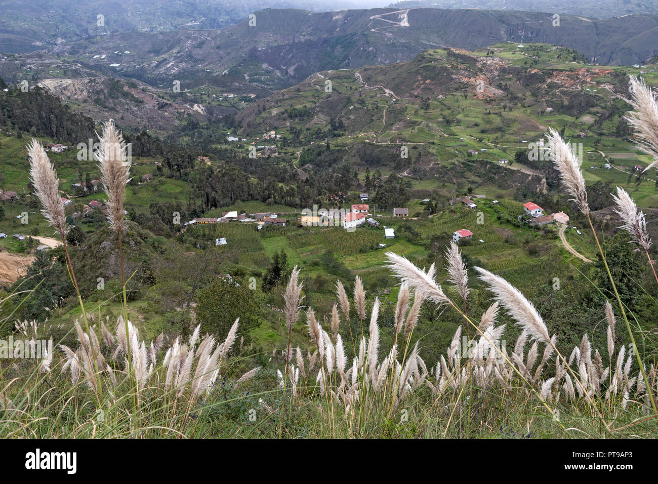 Santa ana grass hi-res stock photography and images - Alamy