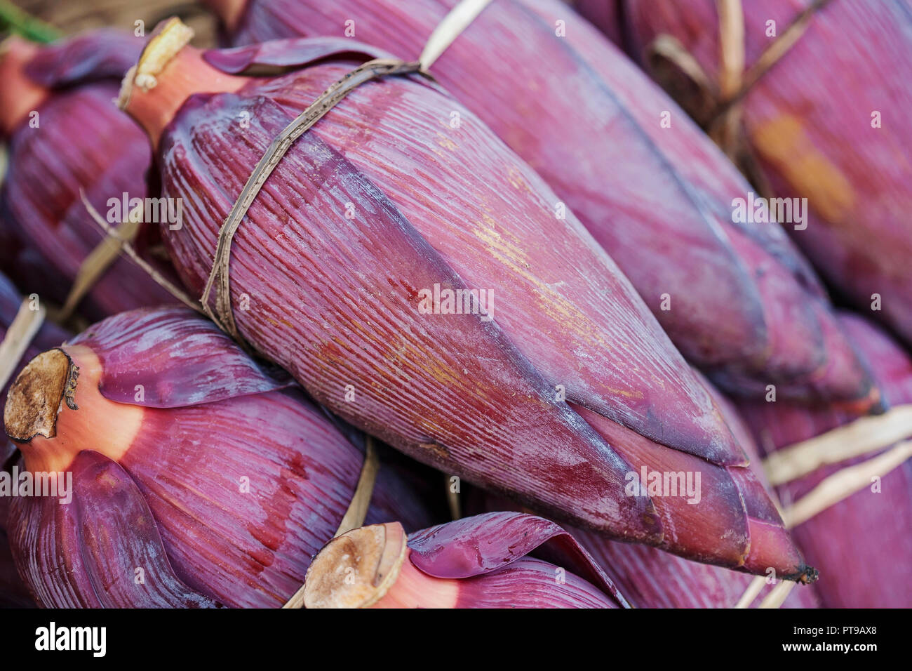 Food shop udaipur city rajasthan hi-res stock photography and images ...