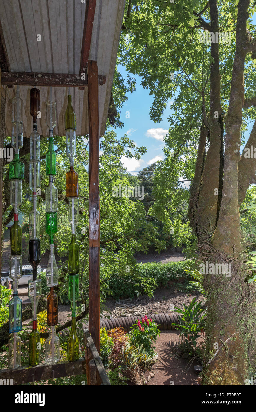 View from Ecofriendly tree house, El Ceibo, Ceiba tree, San Cristobal ...