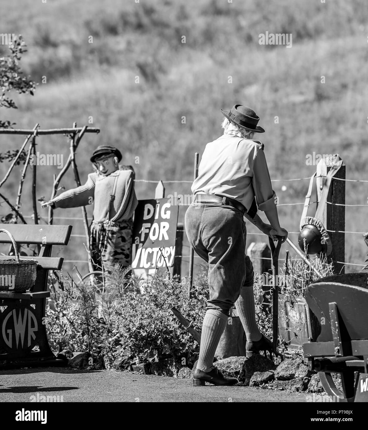 Dig For Victory Garden Stock Photos & Dig For Victory Garden Stock ...