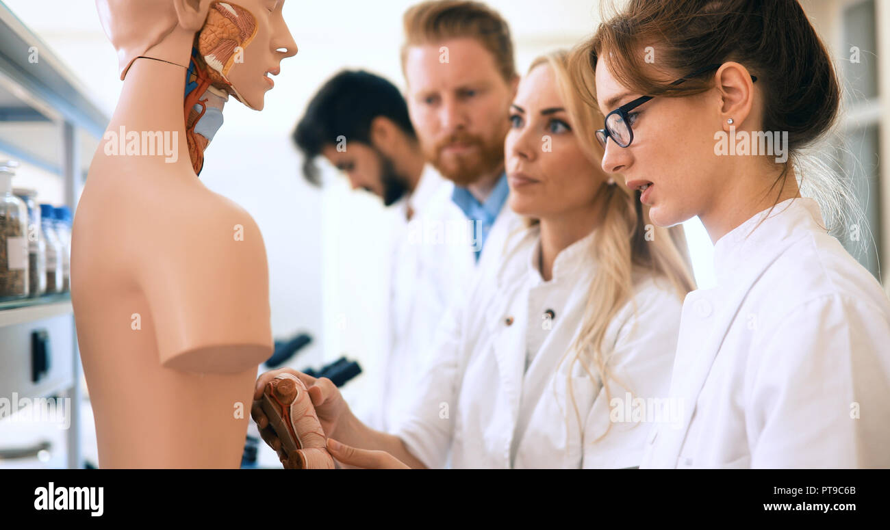 Students of medicine examining anatomical model in classroom Stock ...