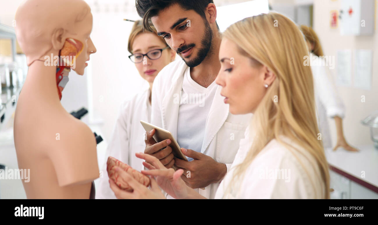 Students of medicine examining anatomical model in classroom Stock ...
