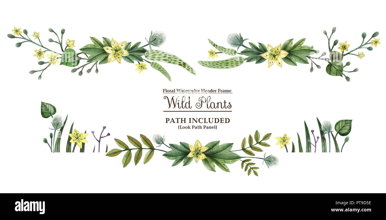 Wild Plants hand painted watercolor headline banner. Flowers and ...