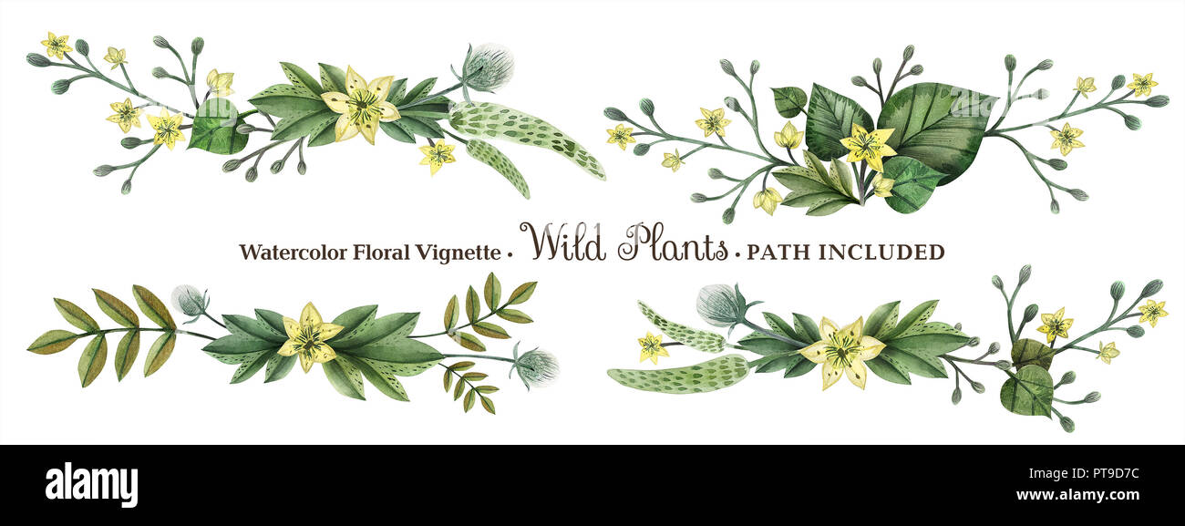 Wild Plants hand painted watercolor headline or ending vingettes ...