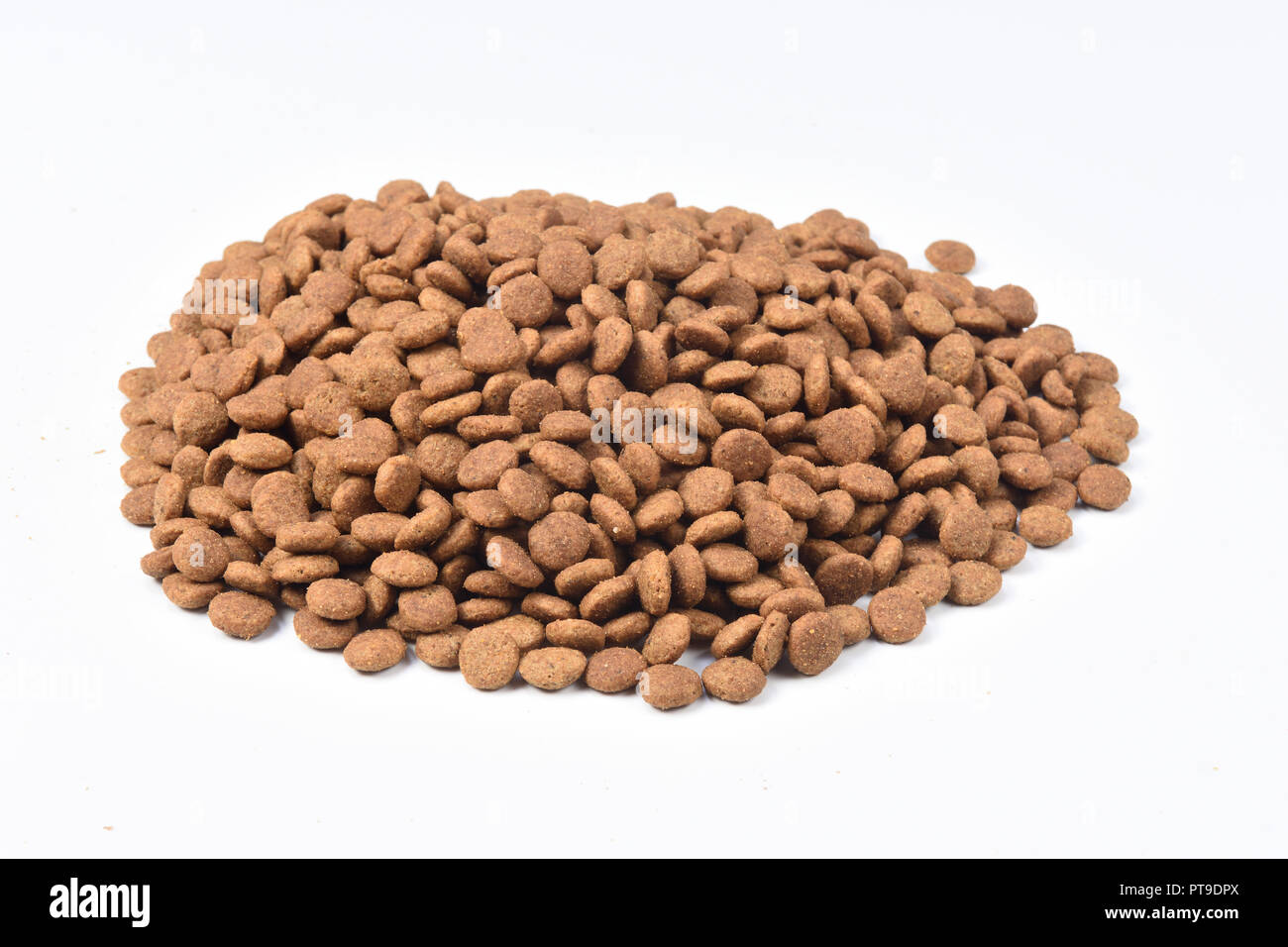 Cat detail close up Cut Out Stock Images & Pictures - Alamy