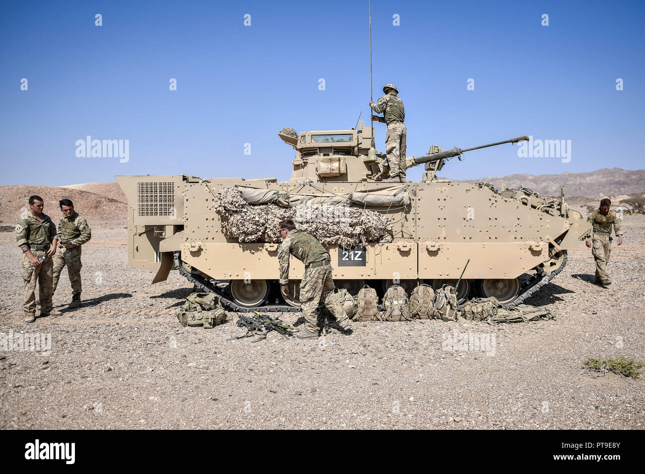 A Warrior armoured fighting vehicle crew prepare to camouflage their ...
