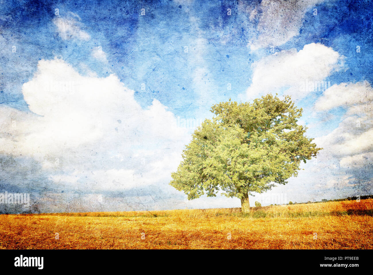 Beautiful summer landscape with green trees and blue sky Stock Photo ...