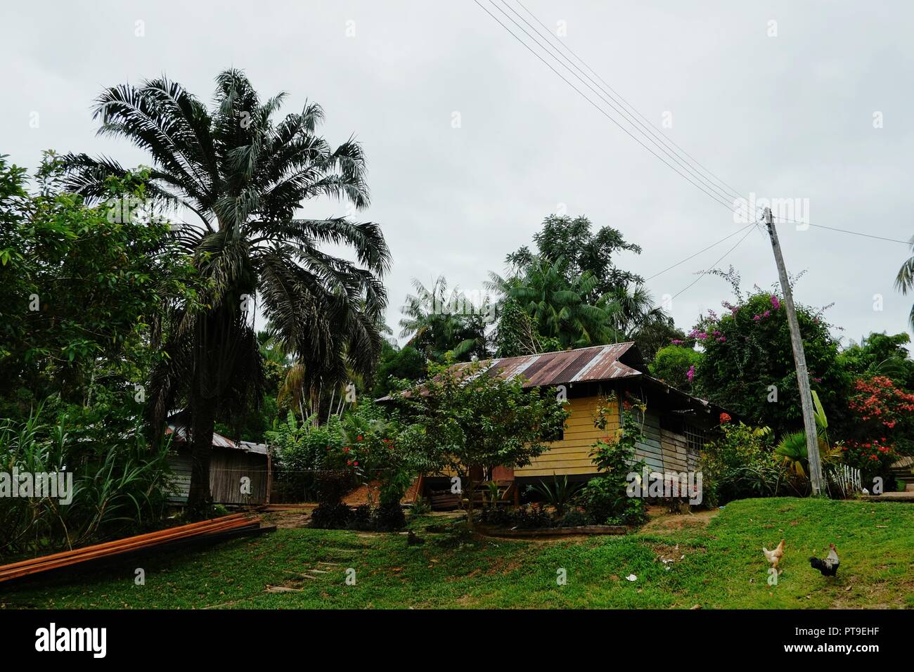 Amazon tribe hi-res stock photography and images - Alamy