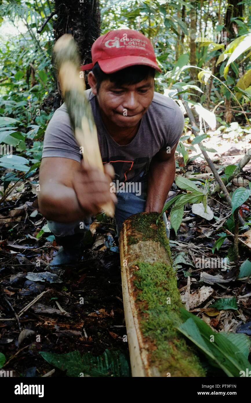 Indian deforestation hi-res stock photography and images - Alamy