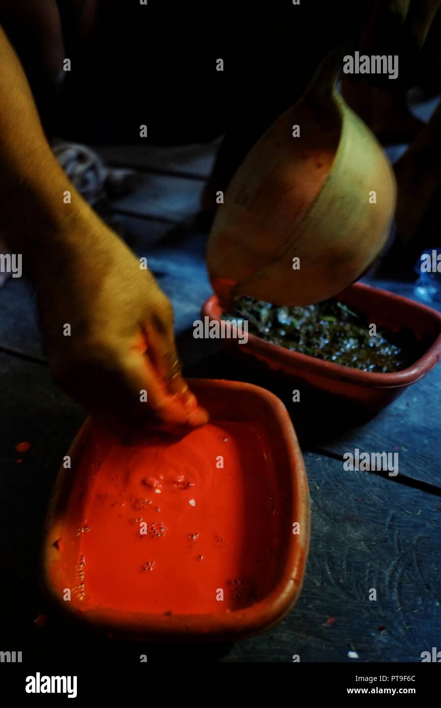 ticuna indian tribal member mixing plant seeds to produce tribal paint ...