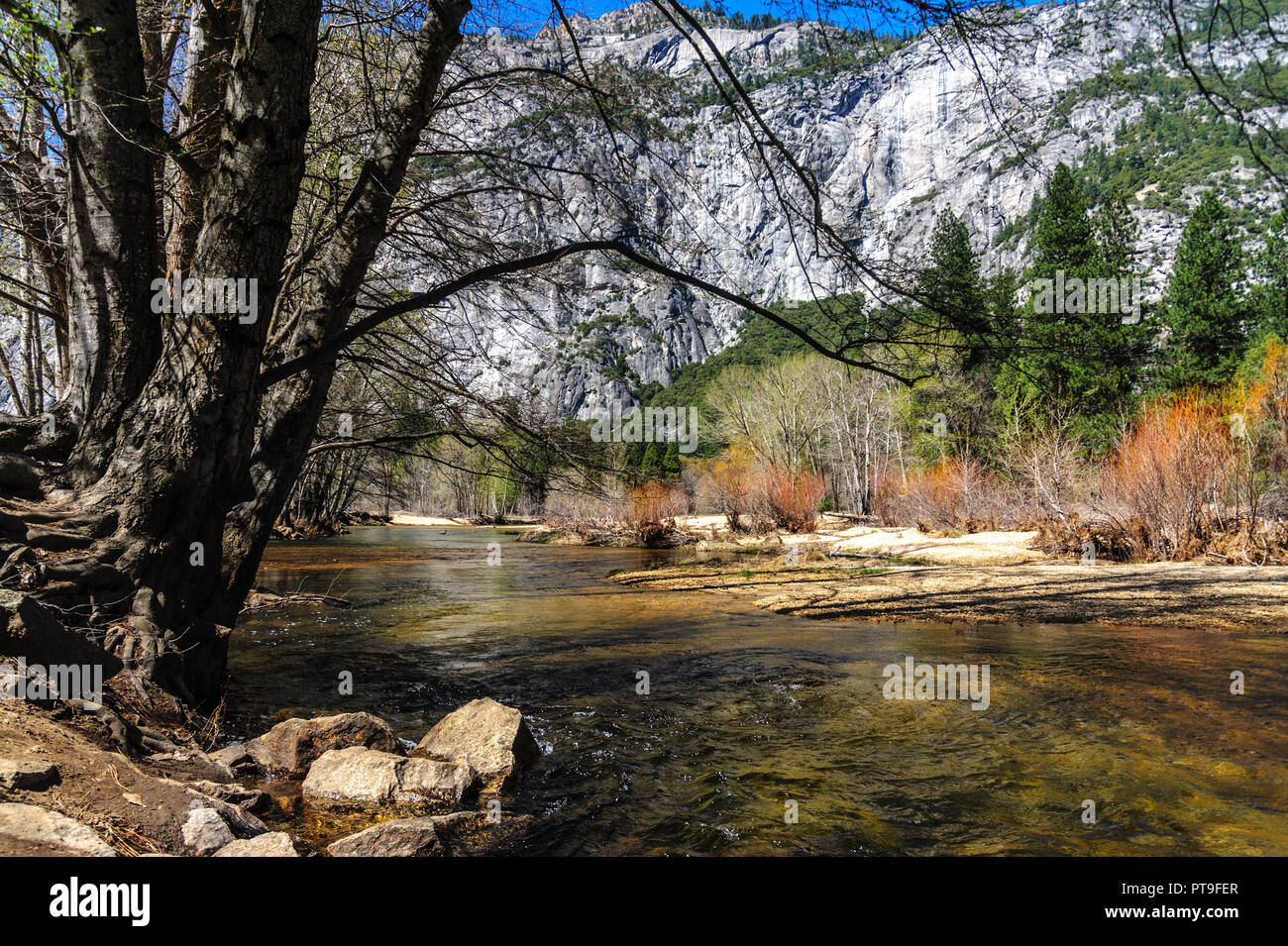 The Merced River Meandering through Yosemite Valley, on an Early April ...