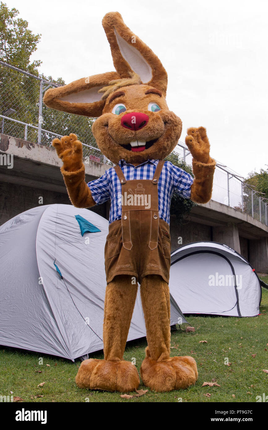 Wasenhasi hi-res stock photography and images - Alamy