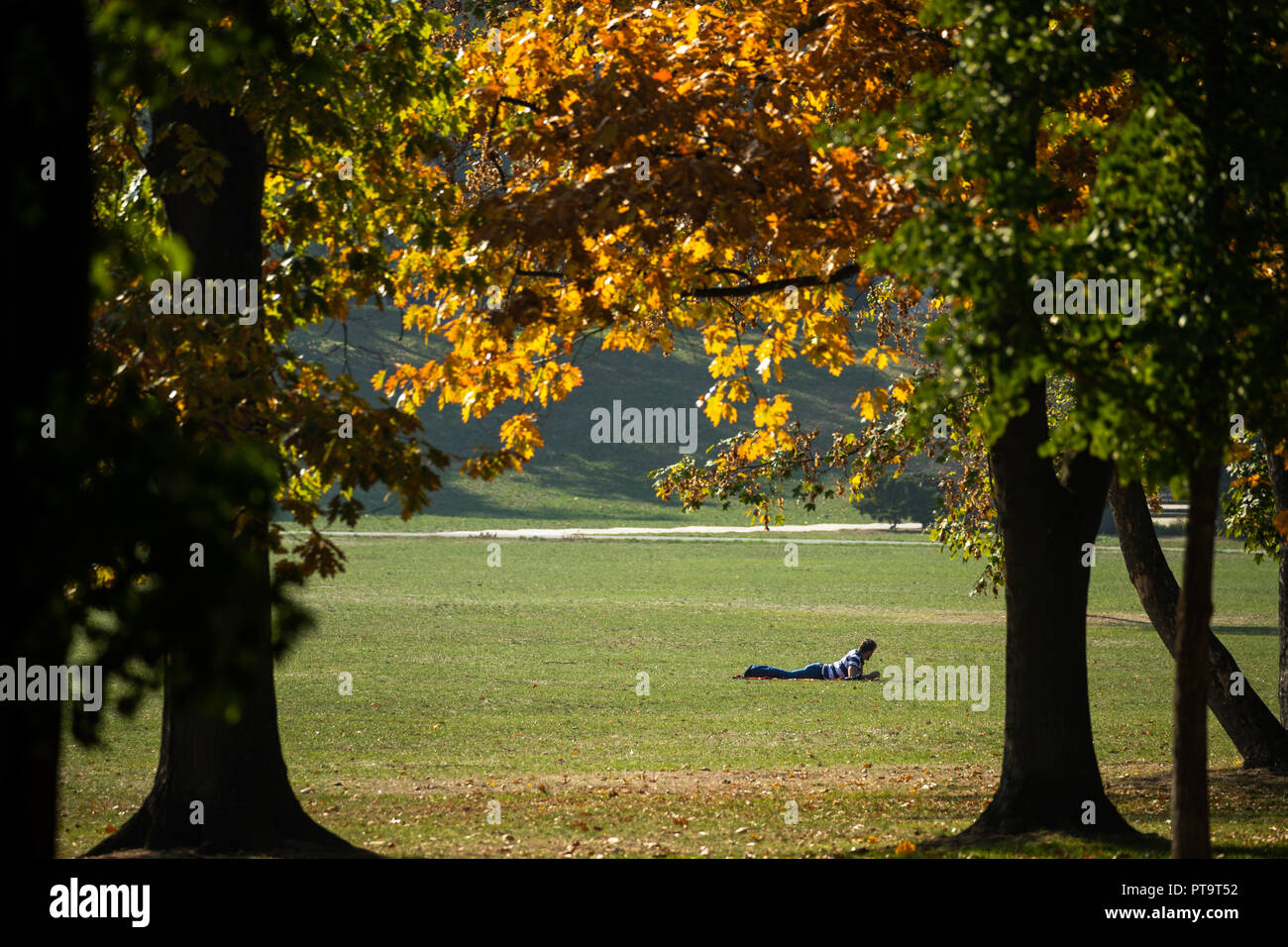 08 October 2018, Bavaria, Nürnberg: A man lies next to autumnally ...