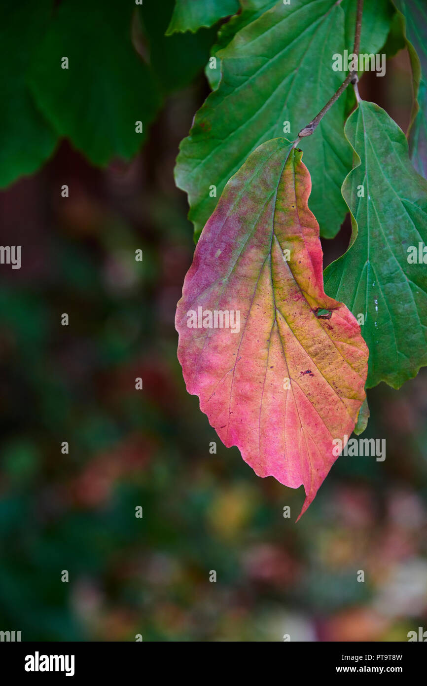 Weather signs hi-res stock photography and images - Alamy