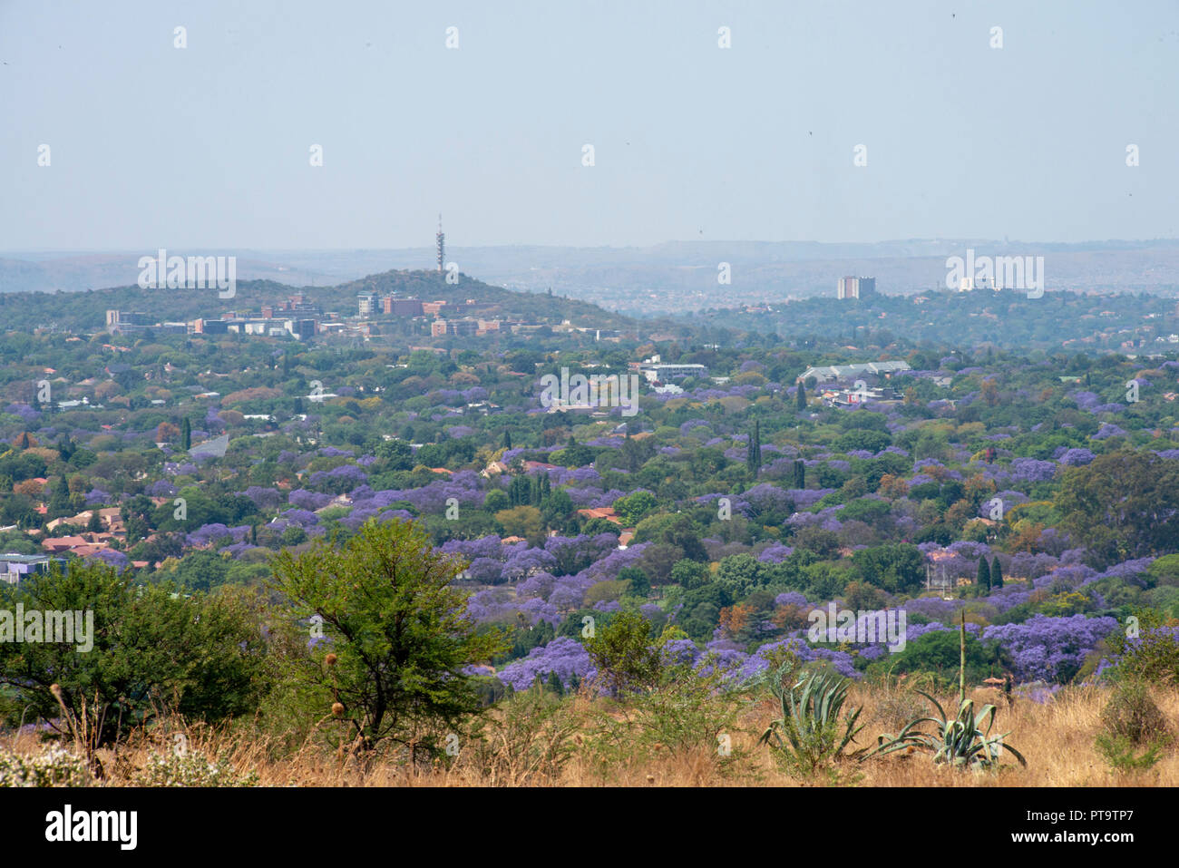 Aerial of pretoria hi-res stock photography and images - Alamy