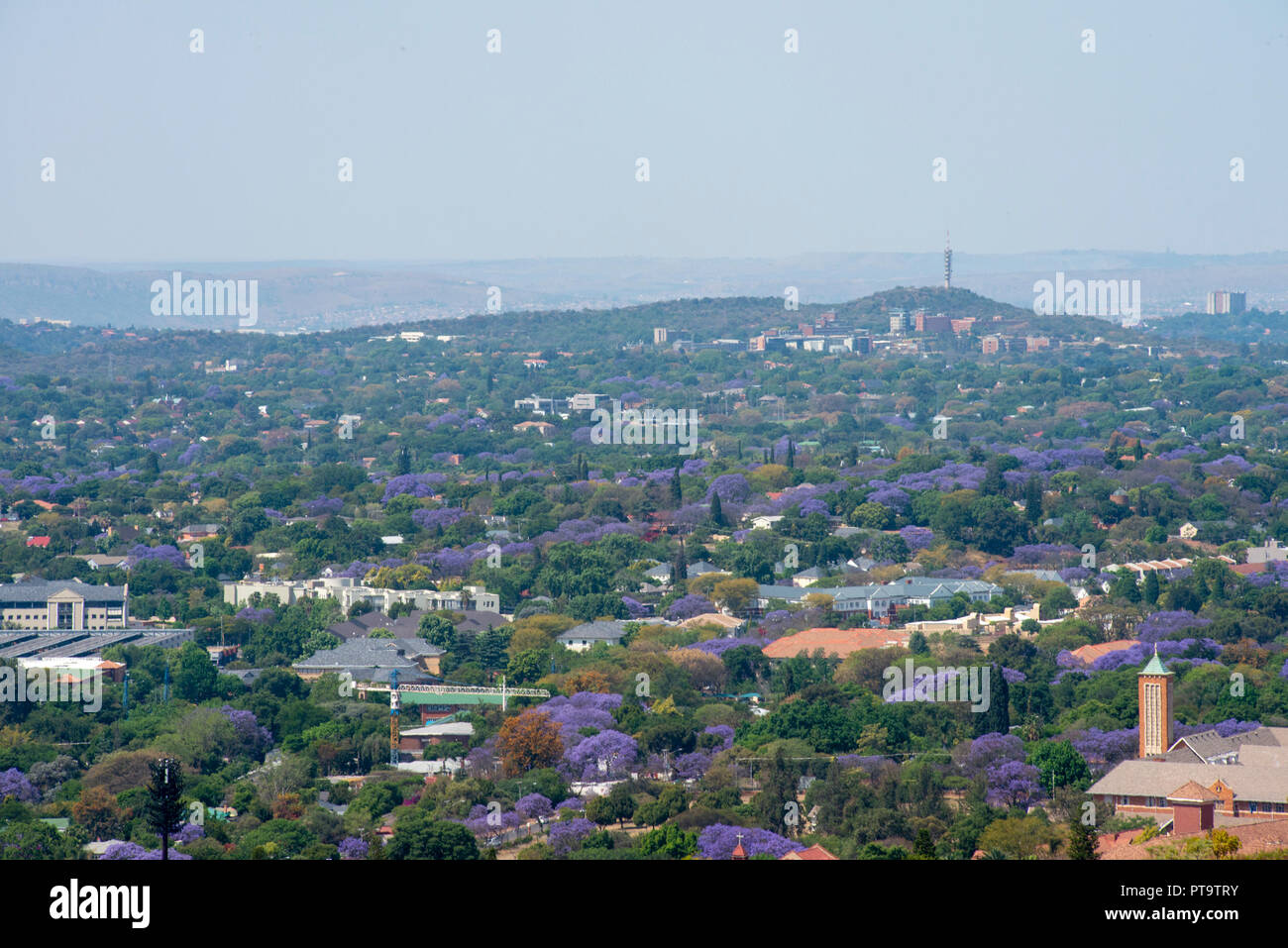 Pretoria aerial jacaranda hi-res stock photography and images - Alamy