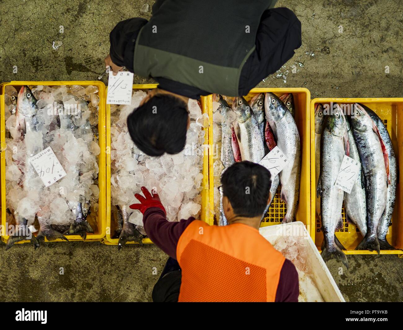Seoul, Gyeonggi, South Korea. 9th Oct, 2018. Workers ice down fish ...