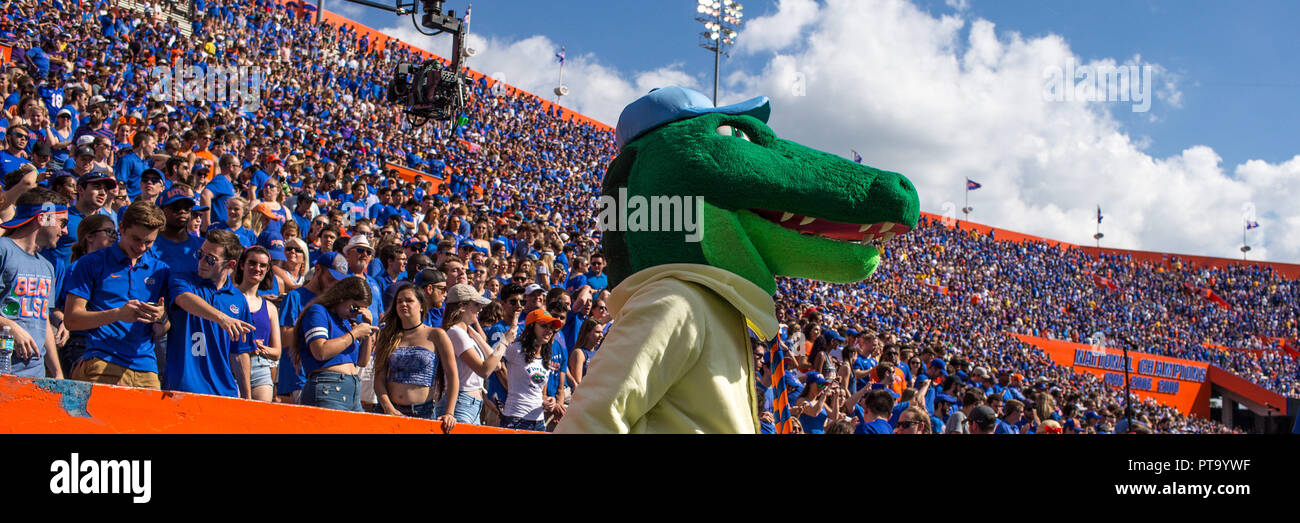 University of florida mascot hi-res stock photography and images - Alamy