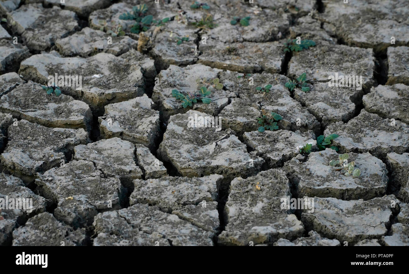 Arid wasteland hi-res stock photography and images - Alamy