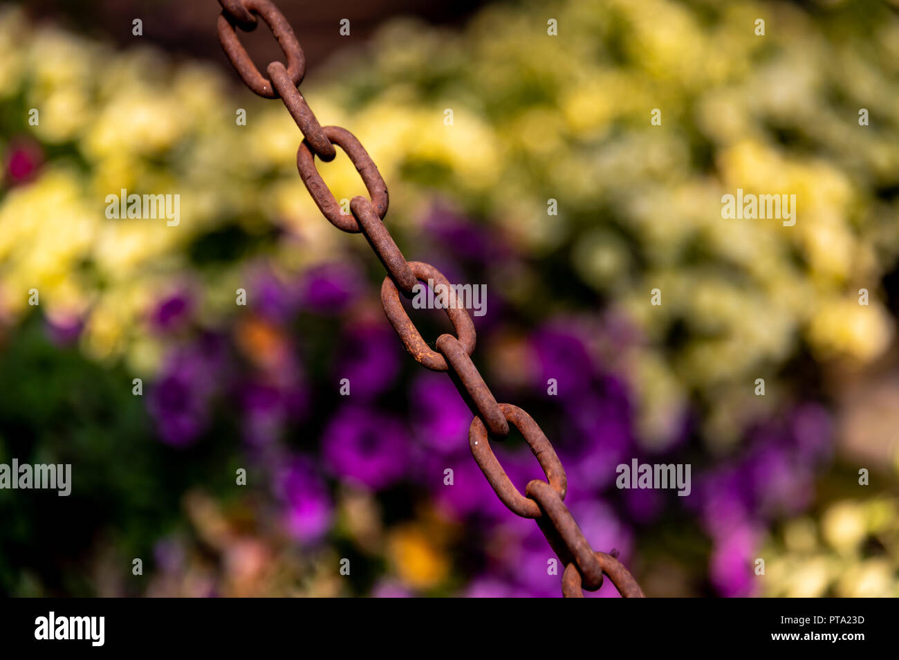 Aldersyde hi-res stock photography and images - Alamy