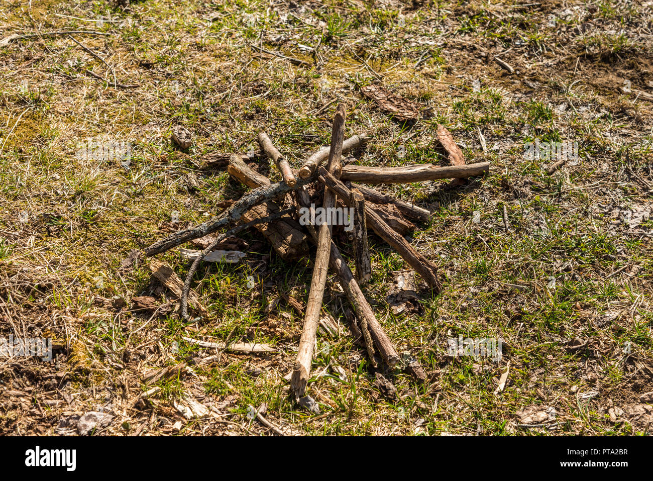Cartoon burning tree hi-res stock photography and images - Alamy