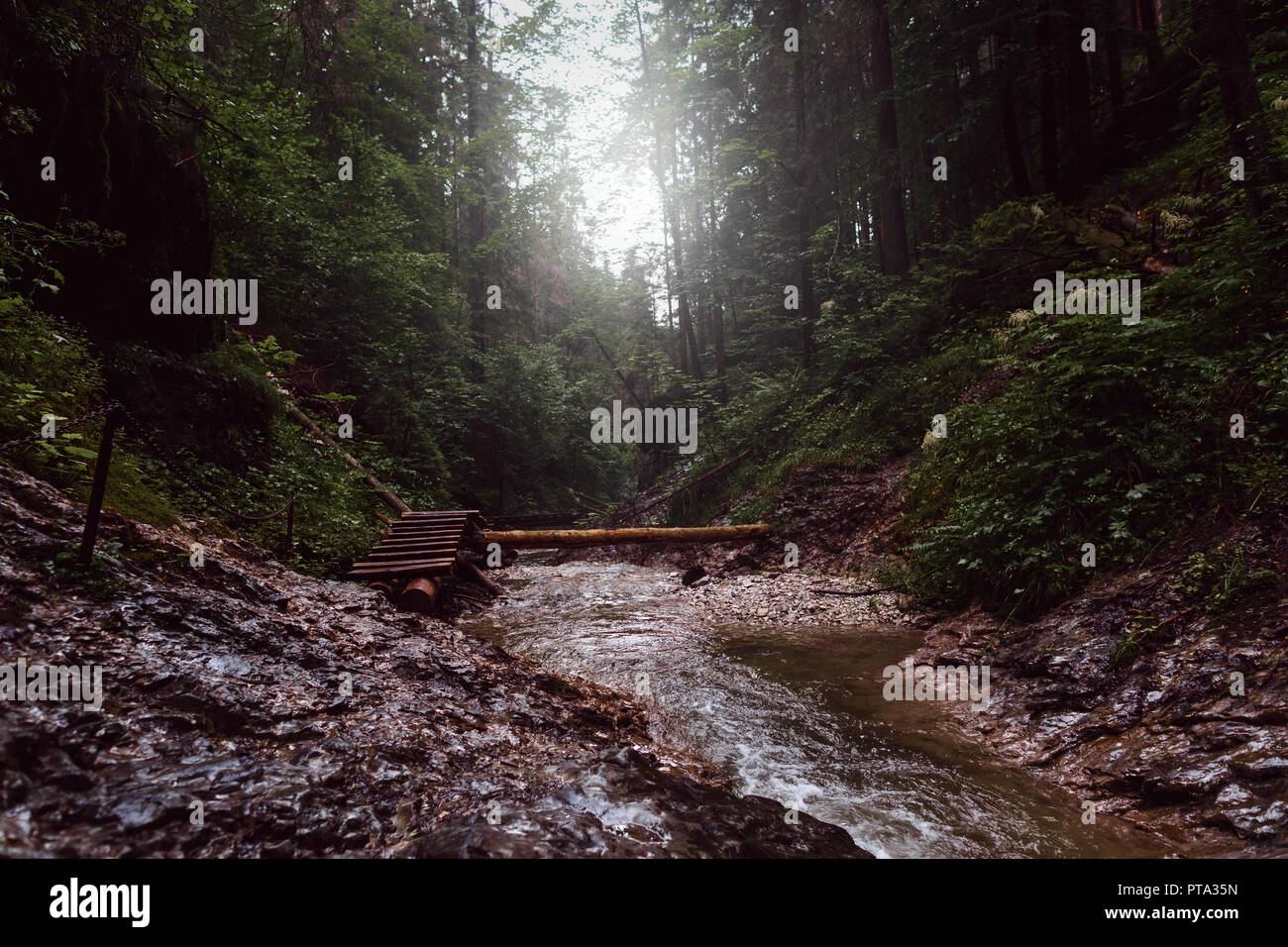 Sucha Bela Canyon, Slovak Paradise, Slovakia. Landscape with mountain ...