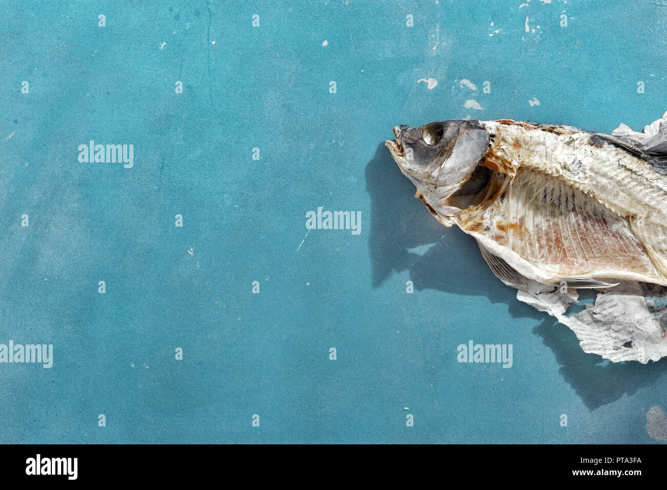 Dried fish on stone blue background top view Stock Photo - Alamy