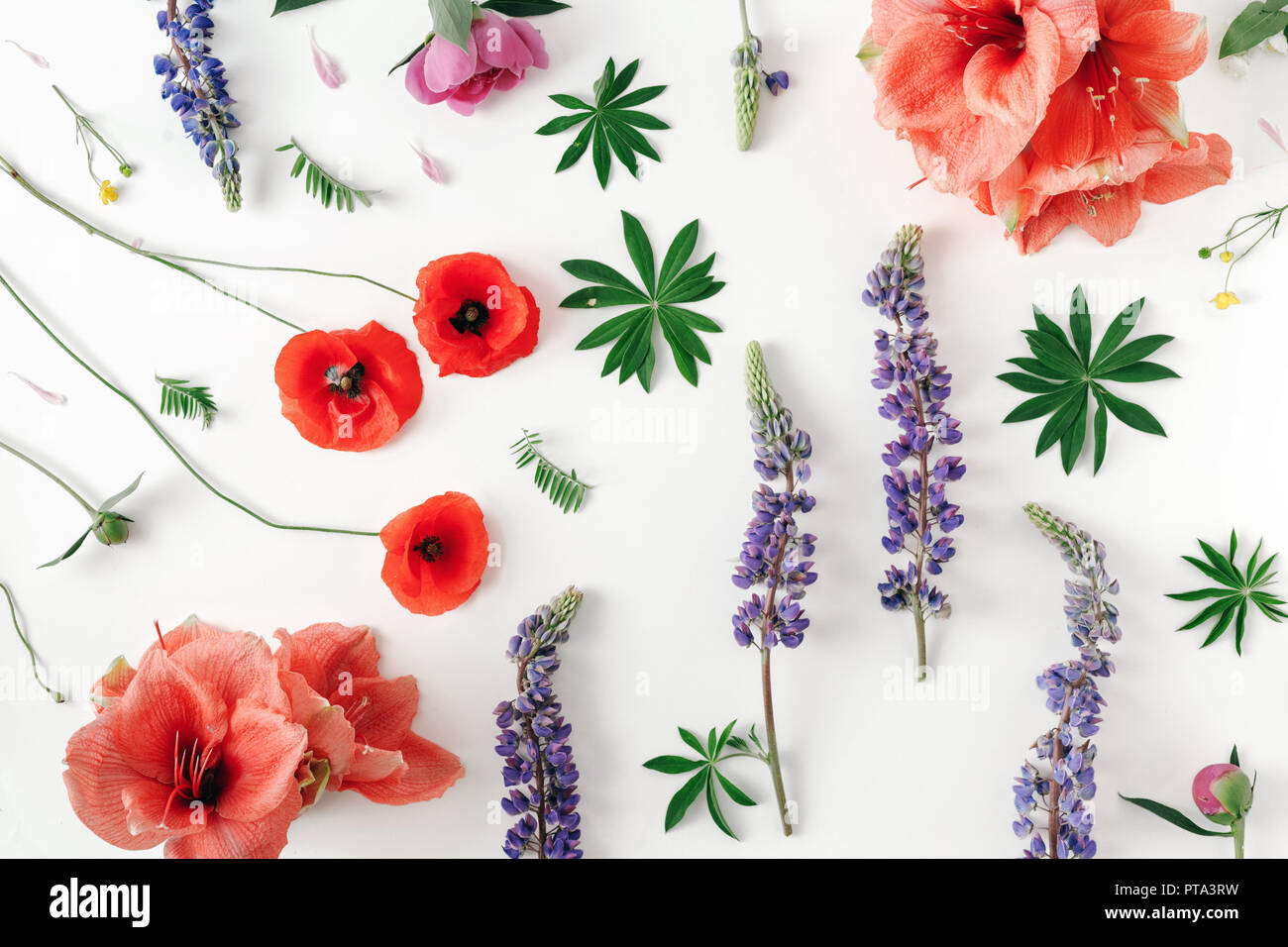 Floral pattern made of wildflowers, poppy, amaryllis, peonies on white ...