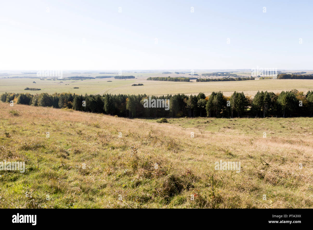 Salisbury plain from wiltshire hi-res stock photography and images - Alamy